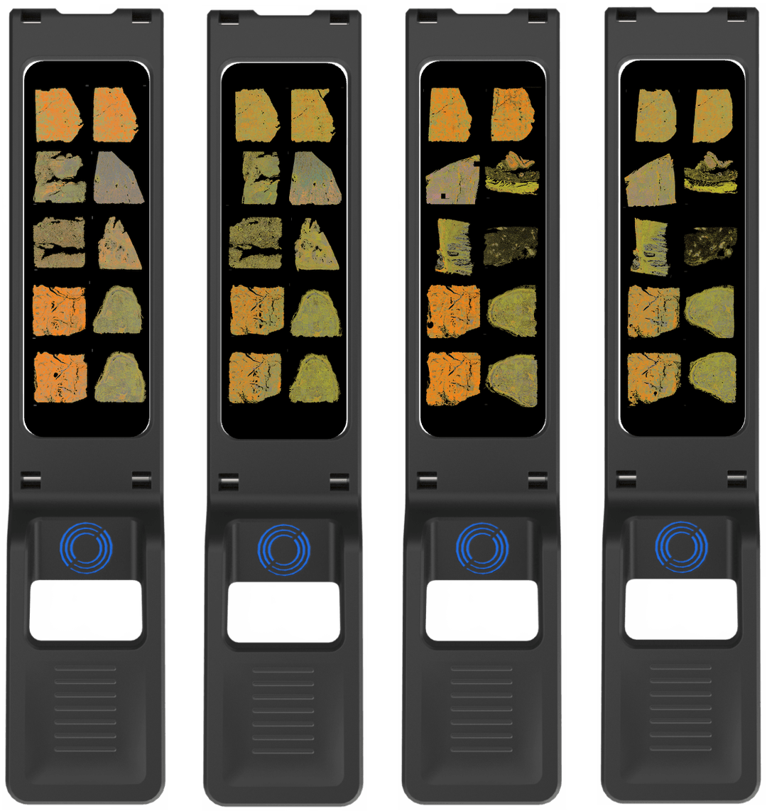 G4X In Situ Multiomics